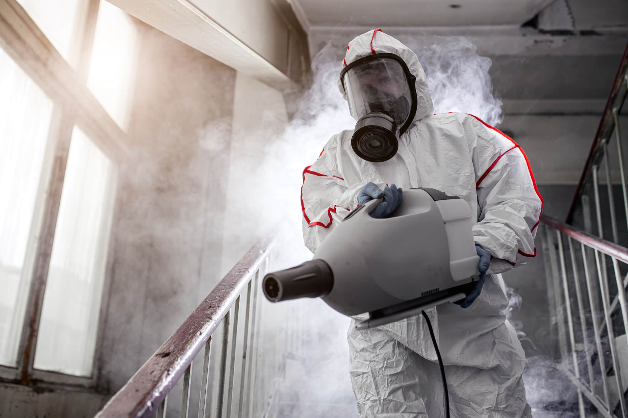 The Complete Guide to Disaster Restoration Franchise Opportunities ...